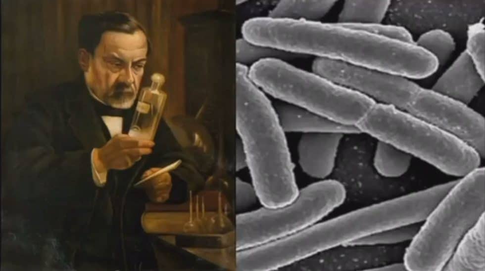 Truth about Microbes - Germ Theory vs. Terrain Theory - Red Pill University